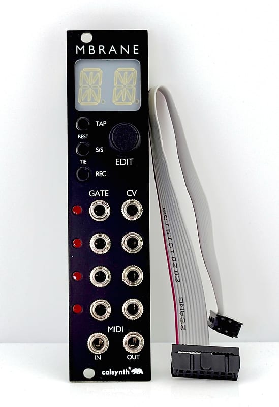 CalSynth CalSynth mBRANE - Mutable Yarns Clone - Midi to CV | Reverb