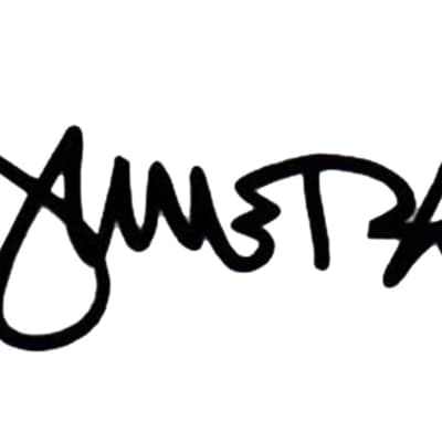 Sticker Vinyl Black Autograph Dimebag Darrell Pantera Guitar | Reverb