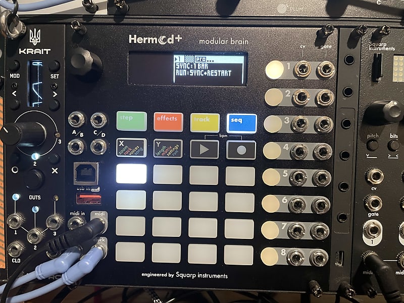 Squarp Hermod+ 2024 - Black | Reverb