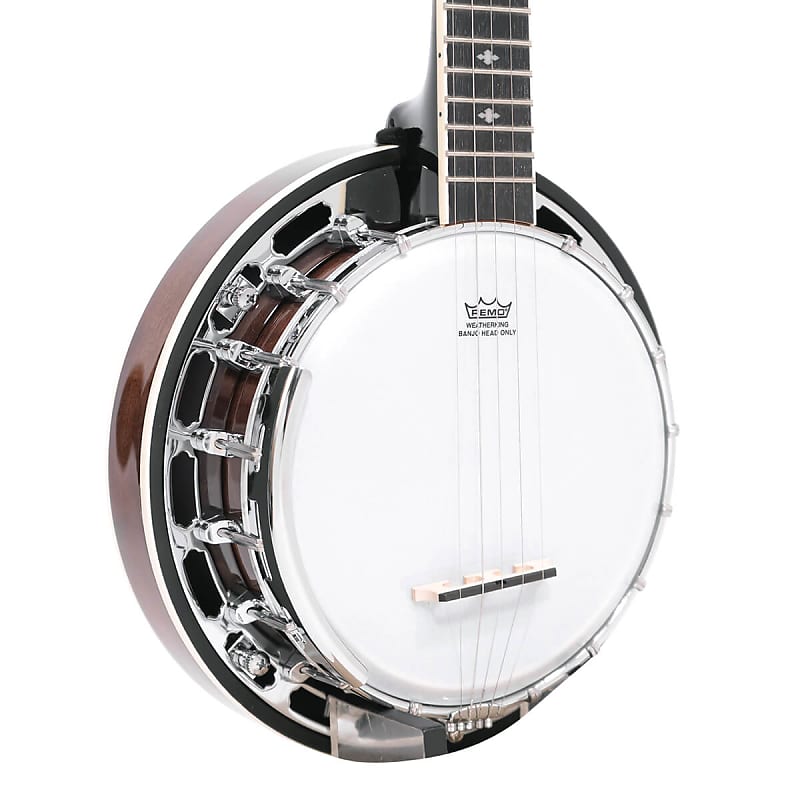 BG-Mini: Bluegrass Mini Banjo with Case | Reverb