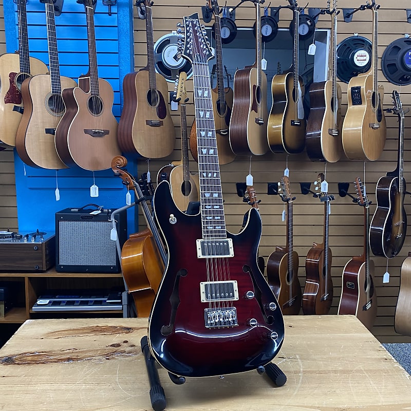 Schecter C/SH-12 12-String Electric Guitar w/ Hard Shell Case | Reverb