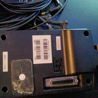 Roland TD-1 Sound Module 2020 WITH Input wiring harness | Reverb