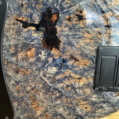 Ritter Roya 2017 | Reverb