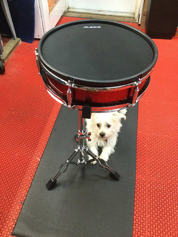 Alesis Strike Pro 14" Dual Zone Snare w/ Double Braced Snare | Reverb