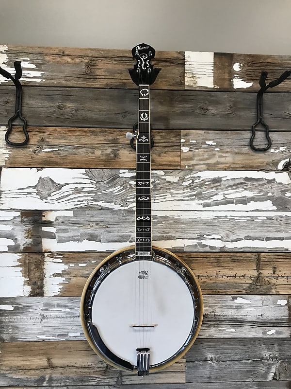 Ibanez 5 String Resonator Banjo W Hard Case Reverb