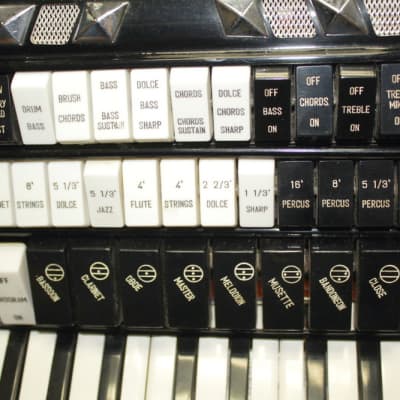 Iorio S-3 Accorgan Electric Accordion Organ-Accordion | Reverb