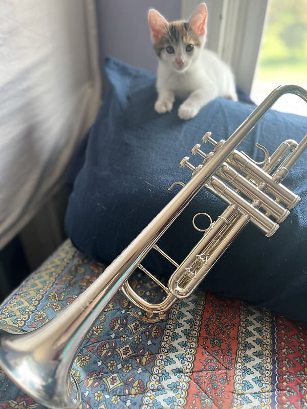 Shires Model AF Trumpet Silver | Reverb