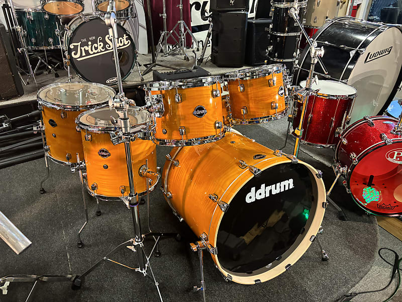 ddrum Dominion Ash 6 piece/hardware 2024 - Natural lacquer | Reverb
