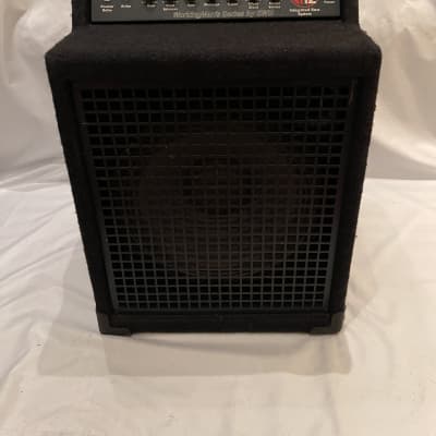 SWR Working man Bass Combo Amplifier (Torrance,CA) | Reverb