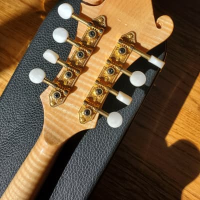 Alvarez F1 Mandolin F Style - ALL SOLID WOODS: Spruce/Maple | Reverb