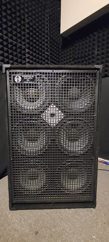 SWR Goliath Sr. 6x10" bass cab | Reverb