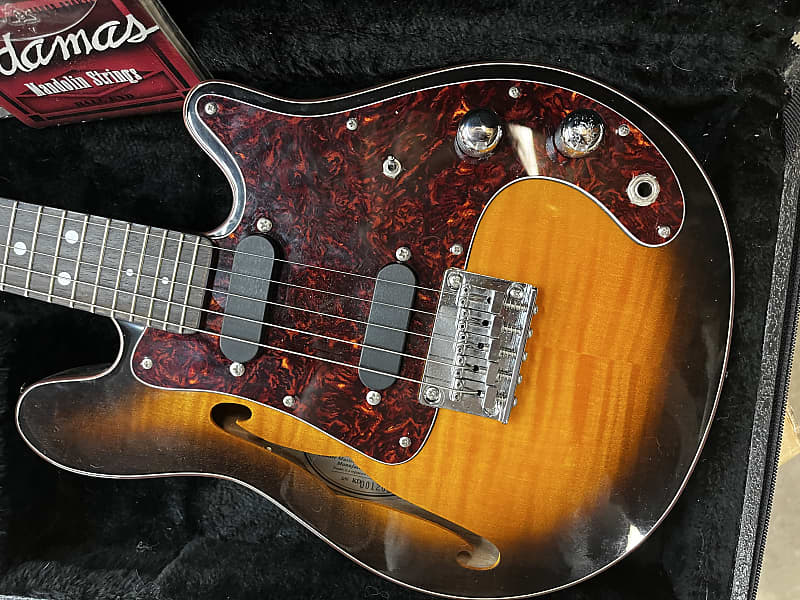 Fender FM60E 5 String Electric Mandolin w Case | Reverb