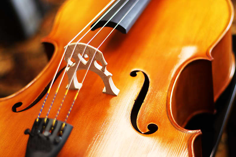 Plum Grove Music Fully Handcrafted Cello 4/4 | Reverb