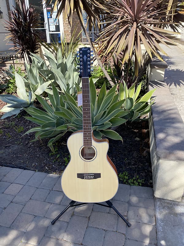 Cort Acoustic Electric Guitar | Reverb