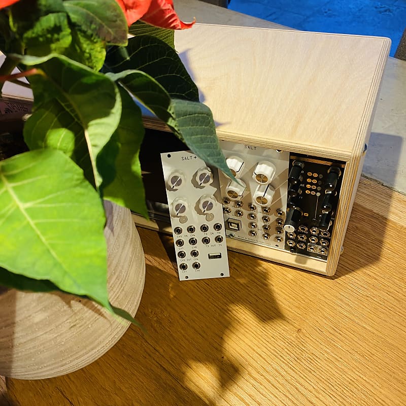 Rebel Technology Salt & Salt+ Expander Module | Reverb