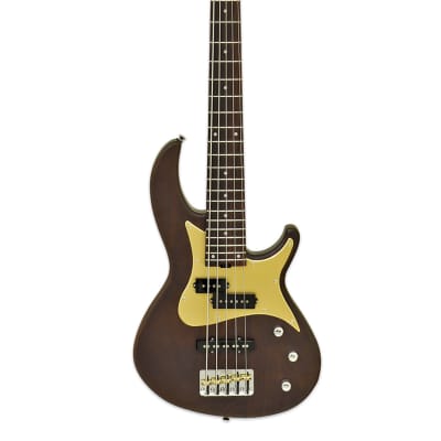 Aria 313-BB/5 -Detroit | Reverb