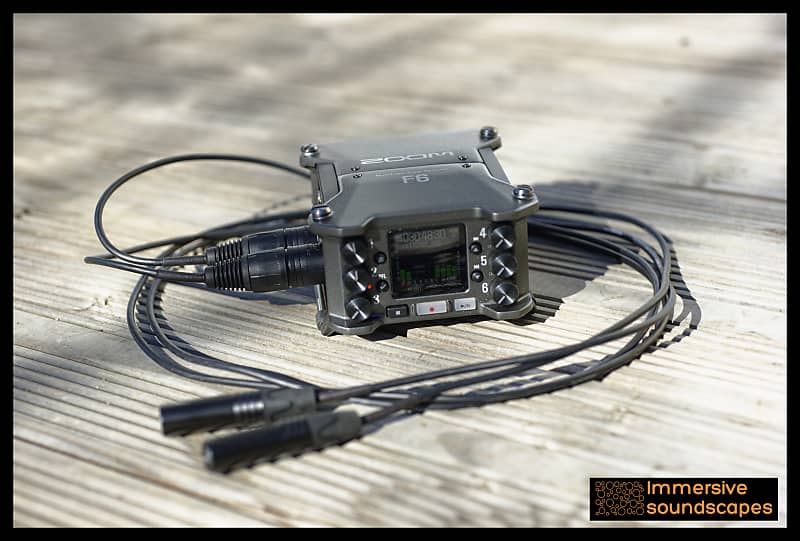 Earsight field recording stereo microphone - XLR 48V version | Reverb