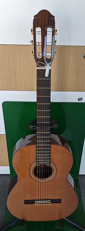 Raimundo Mod.130 2000-2020 | Reverb