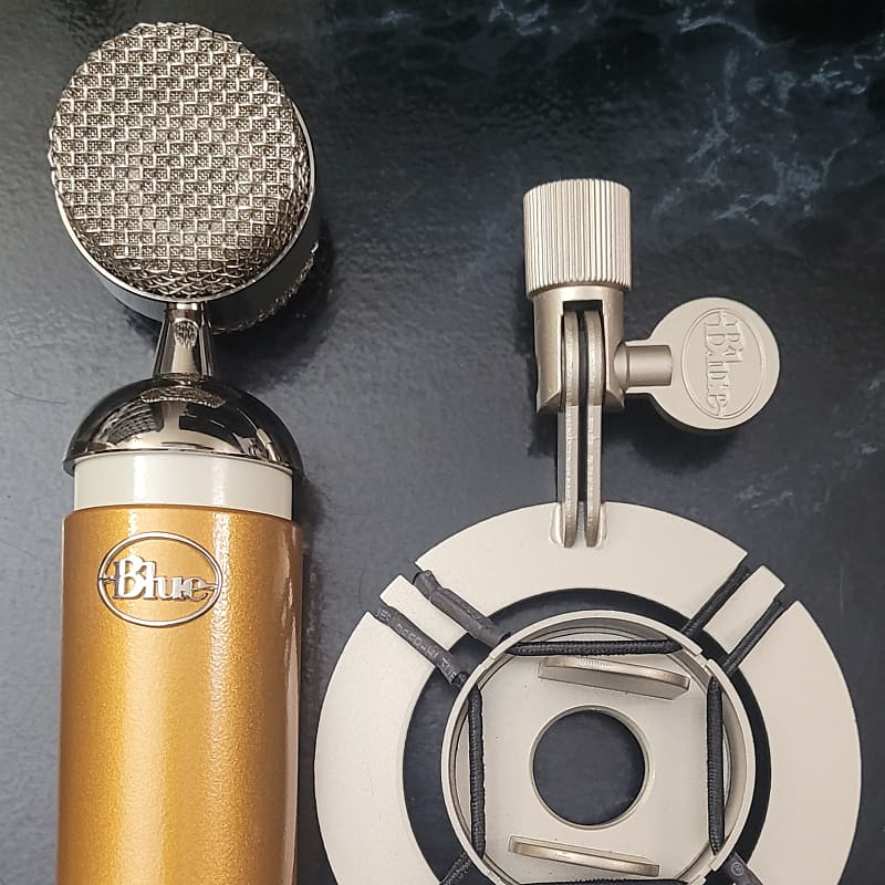 Blue Spark Large Diaphragm Condenser Microphone | Reverb