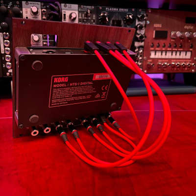 NTS-1 EuroWood - Kit | Eurorack Faceplate Kit for Korg | Reverb