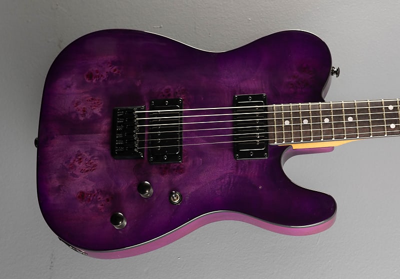 Schecter PT Standard - Purple Burst Burl | Reverb