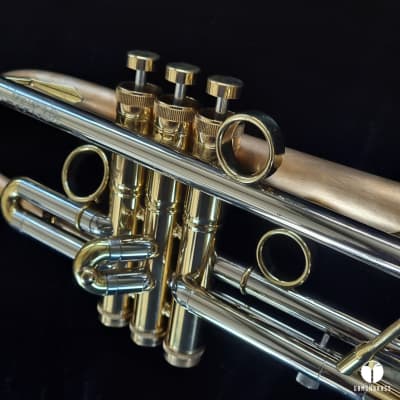 Taylor Chicago 46 X Lite trumpet 5,5 inch Red Brass Bell | Reverb