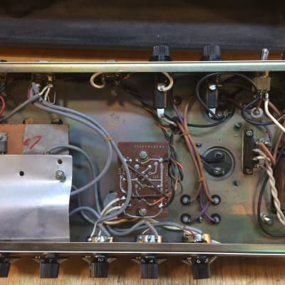 Funky Elk FD-61 Guitar amp modeled after Fender. Tons of | Reverb