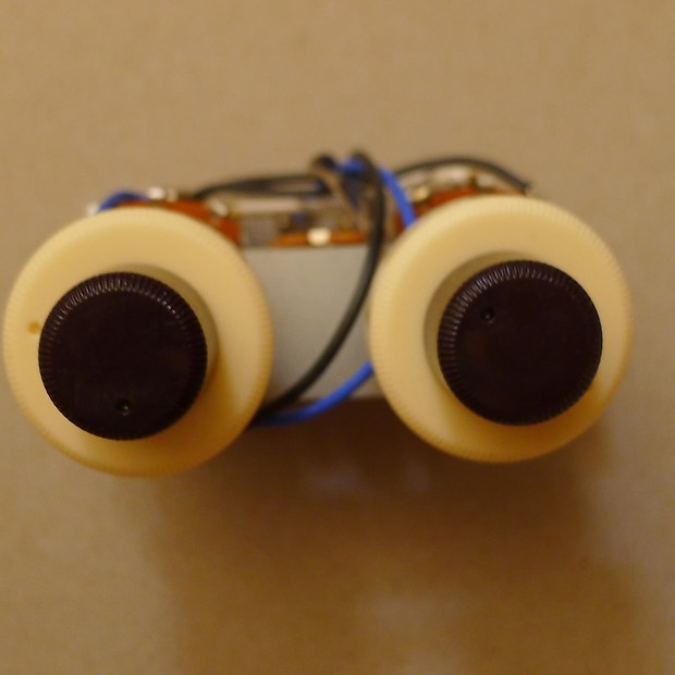 Danelectro 59 DC dual concentric pots w/knobs | Reverb