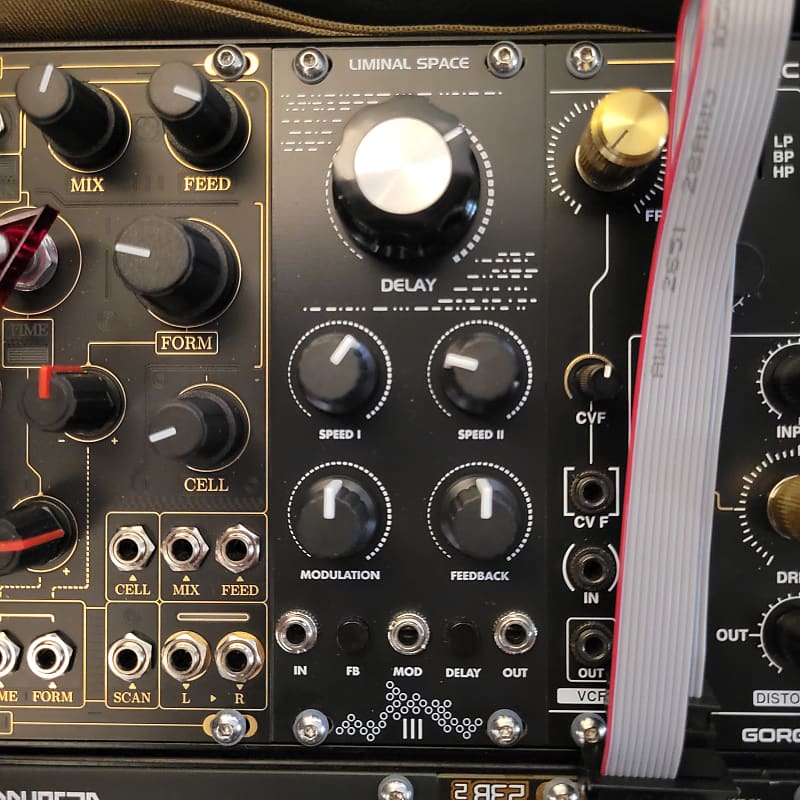 Tre Modular Liminal Space Nostalgic Delay PT2399 - Black | Reverb