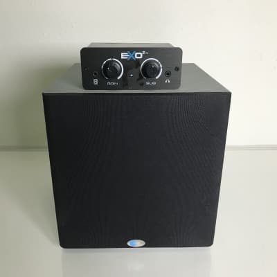 Blue Sky eXo2 Subwoofer w/ Remote | Reverb