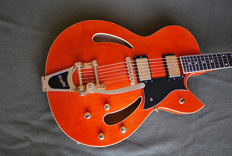 Cort Jim Triggs Series TRG-2 Hollow Electric Guitar 2002 | Reverb