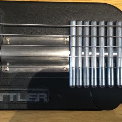 Gittler Astron „Fishbone Guitar" – very rare – seltene | Reverb