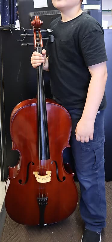 Infinity 3/4 Cello | Reverb