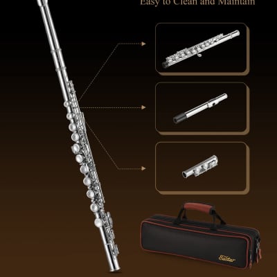 Eastar C Flutes Closed Hole 16 Keys Flute for Beginner Kids | Reverb
