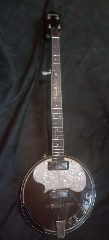 Widman Electric 5-String Banjo - Custom | Reverb