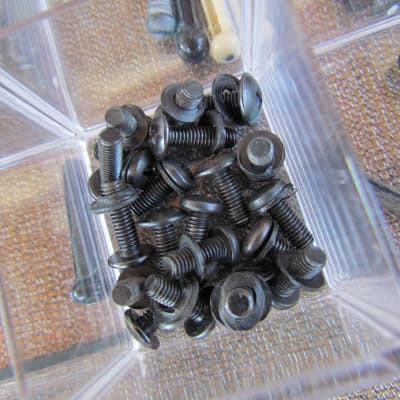 Bridge Pins Box Of Various Bridge Pins Luthier Supplies White | Reverb