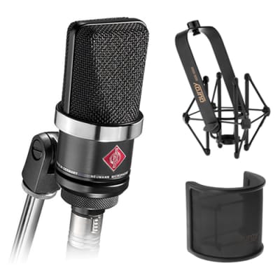 Neumann TLM 102 Large Diaphragm Cardioid Condenser Microphone | Reverb