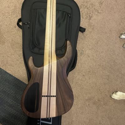 Kiesel DC 2022 | Reverb