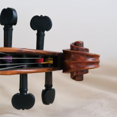 Viola // Jay Haide L'Ancienne | Reverb UK