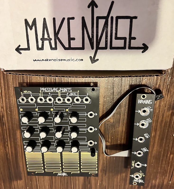 Make Noise Pressure Points & Brains Combo - NICE | Reverb