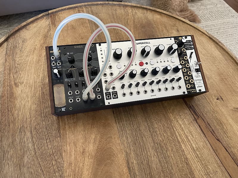 Synth Eurorack - Ears, Rings, Supercell in Moog case | Reverb