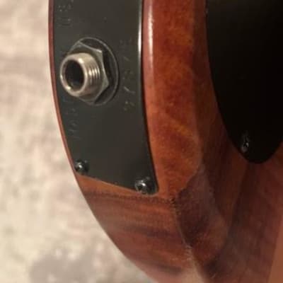 Carvin LB76 6 String Bass - OHSC | Reverb