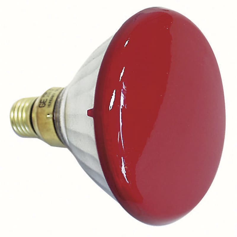 lightmaXX Reflector Lamp E27 Par 38/46 240V/80W Red - E-27 | Reverb