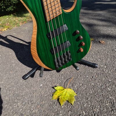 Kiesel Aries A2 2024 5-string multiscale bass! | Reverb