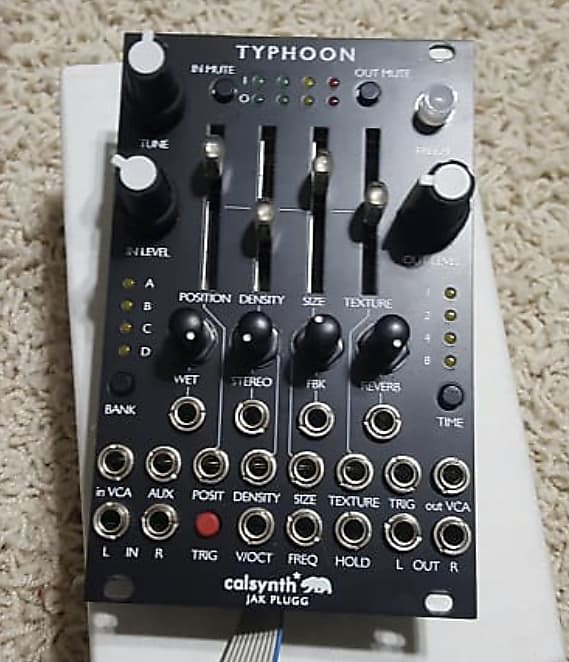 CalSynth Typhoon (Mutable Instruments Clouds w/extras) 2022 | Reverb