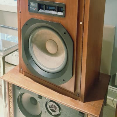 Avid 330 TOL Speakers | Reverb