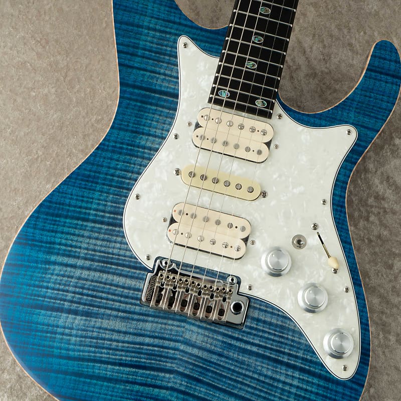 FREEDOM CUSTOM GUITAR RESEARCH HYDRA 24F 2Point -Seiryu-2024 | Reverb