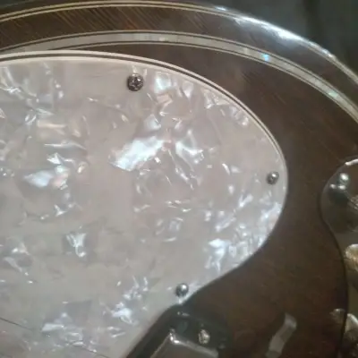 Widman Electric 5-String Banjo - Custom | Reverb