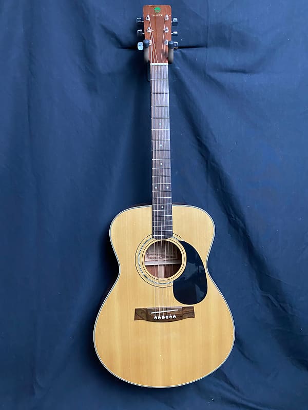 Samick SF-141 Acoustic Guitar w/hard case (used) | Reverb