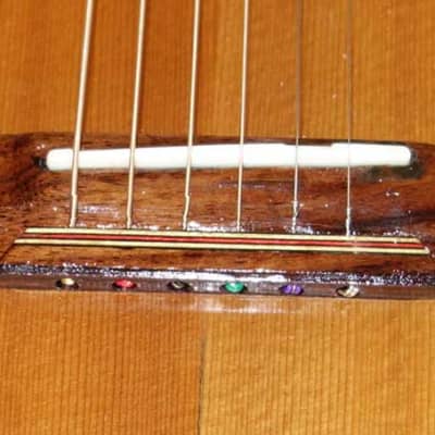 1999 Michael Turko "Tennessee Tornado " Parlor Guitar | Reverb